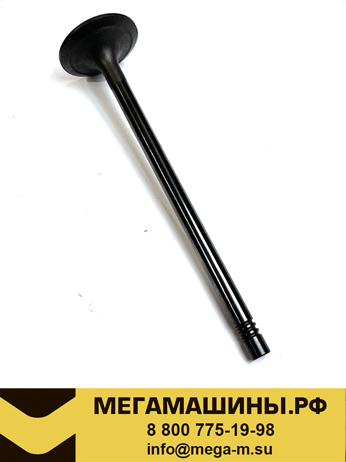 Клапан впускной WP12 / WP10.336E53 Евро5 612630050146